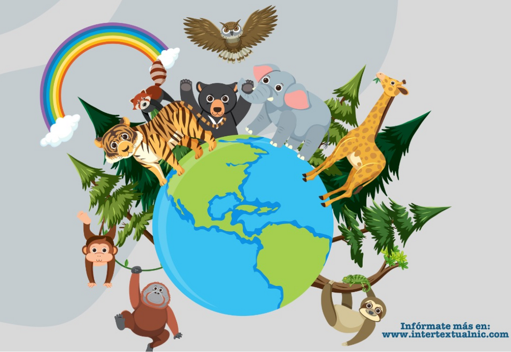 Día Mundial de los Animales: derechos y conservación de la vida animal ...