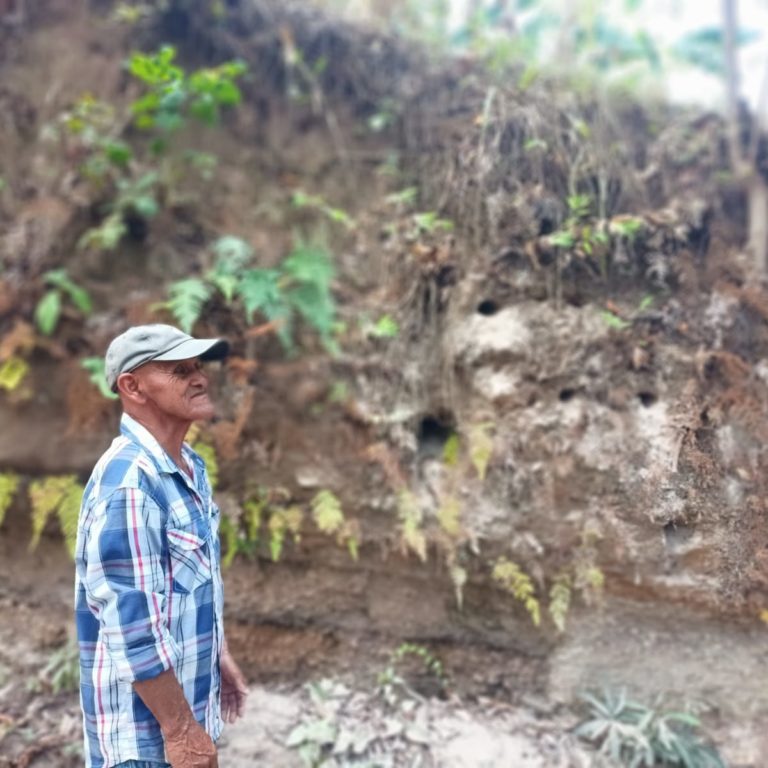 El Guardabarranco la bella ave nacional de Nicaragua - Intertextual